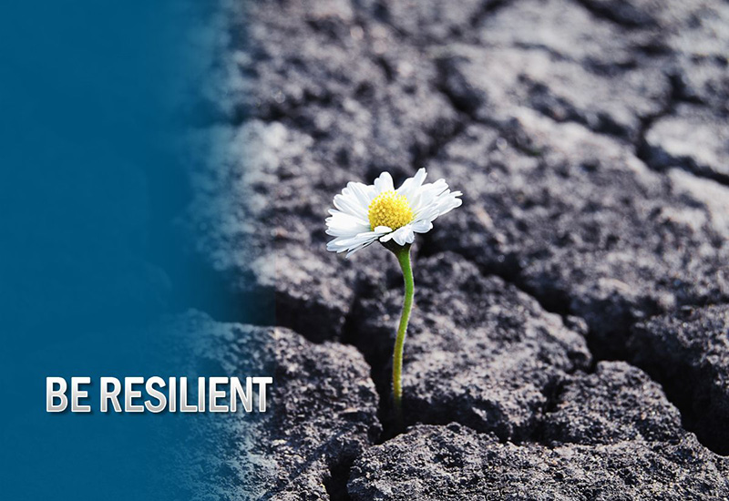 Pehp - Wellness On-Demand